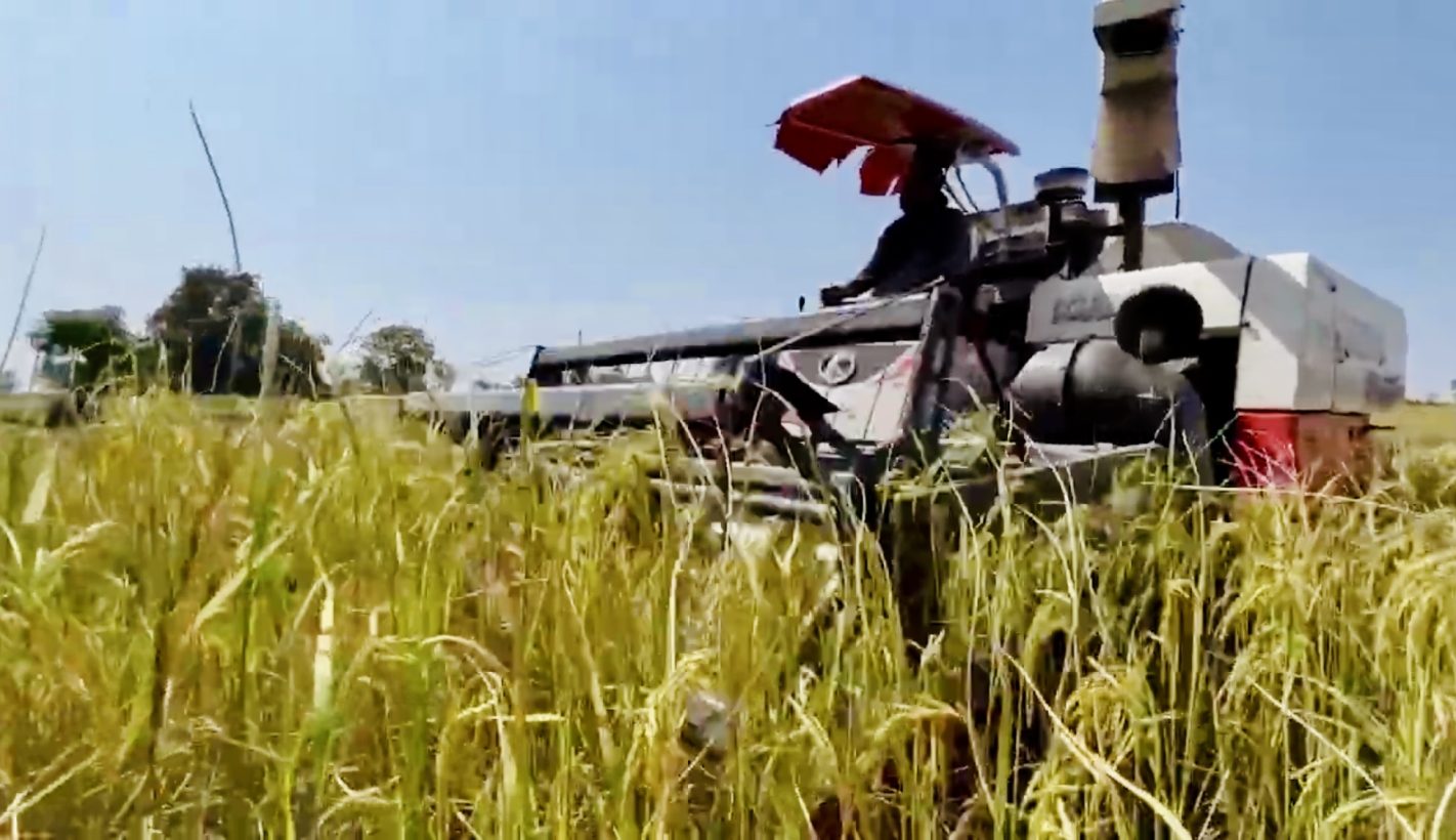🌾 ข้าวนาปี 2567 ผลผลิตดี แต่รถเกี่ยวข้าวต้องใช้เวลามากขึ้น - KKL ขอนแก่นลิงก์